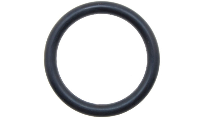 O-ring 30 x 3,5 mm » Hubzin-promet d.o.o.
